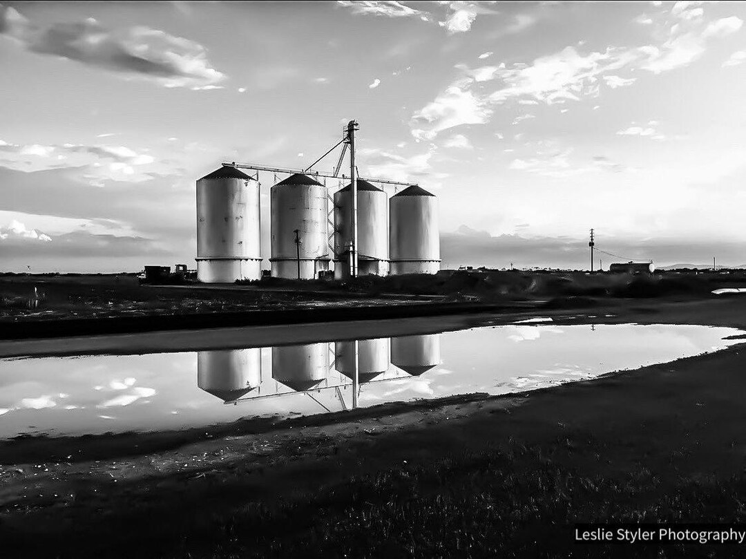 Print Phoenix Arizona Silo in Black and White, Landscape Photograph ...