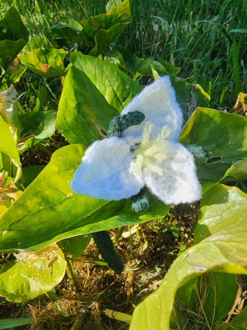 Trillium Oregon Wildflower Crochet Pattern - Etsy