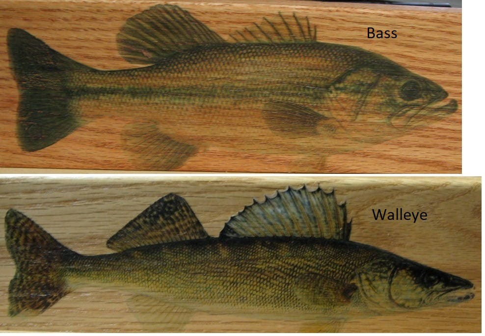 Oak Wall Mount Fishing Rod Rack | Etsy Canada