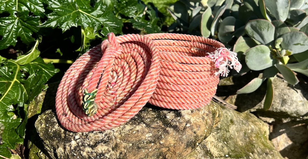 Western Rope Basket Rustic Cowboy Decor Ranch Style Gift Unique Home ...