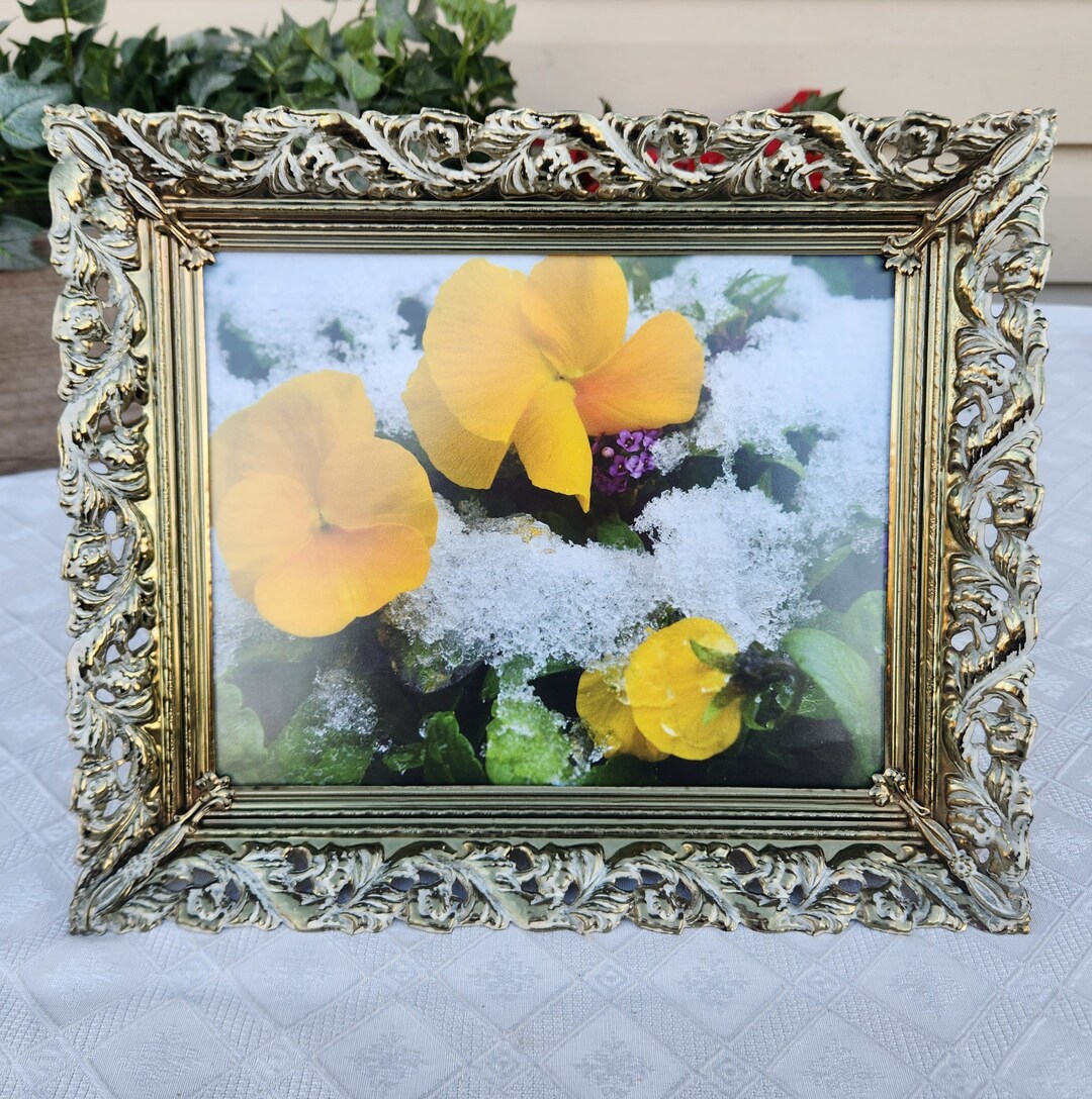 Beautiful Ornate Filigree Picture Frame Gold Tone and White - Etsy