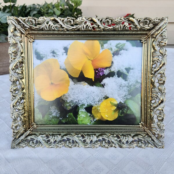 Filigree Picture Frame - Etsy