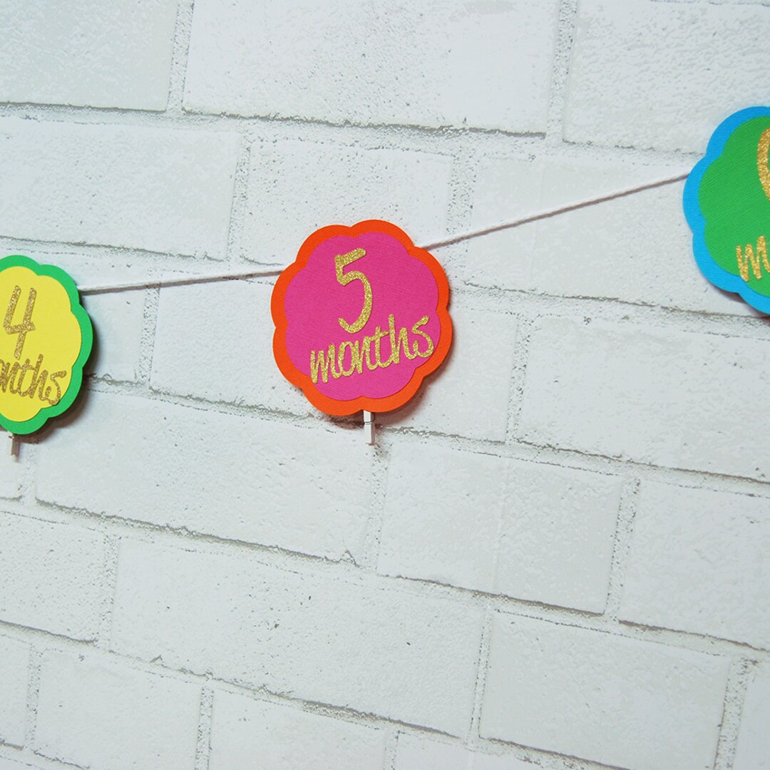 Fiesta First Birthday Photo Banner, Fiesta Monthly Photo Banner, Fiesta ...