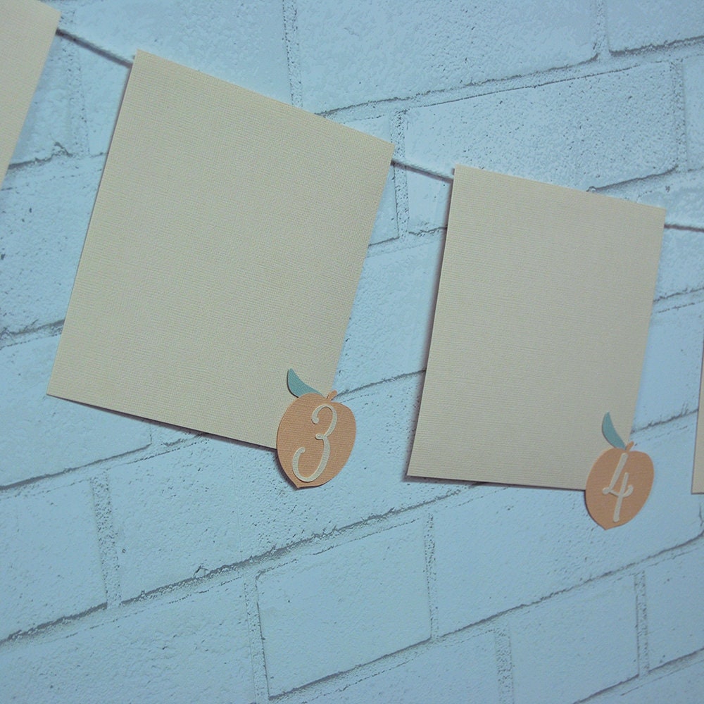 Sweeter by the Month Peach Photo Banner, Sweet as A Peach Monthly Photo ...