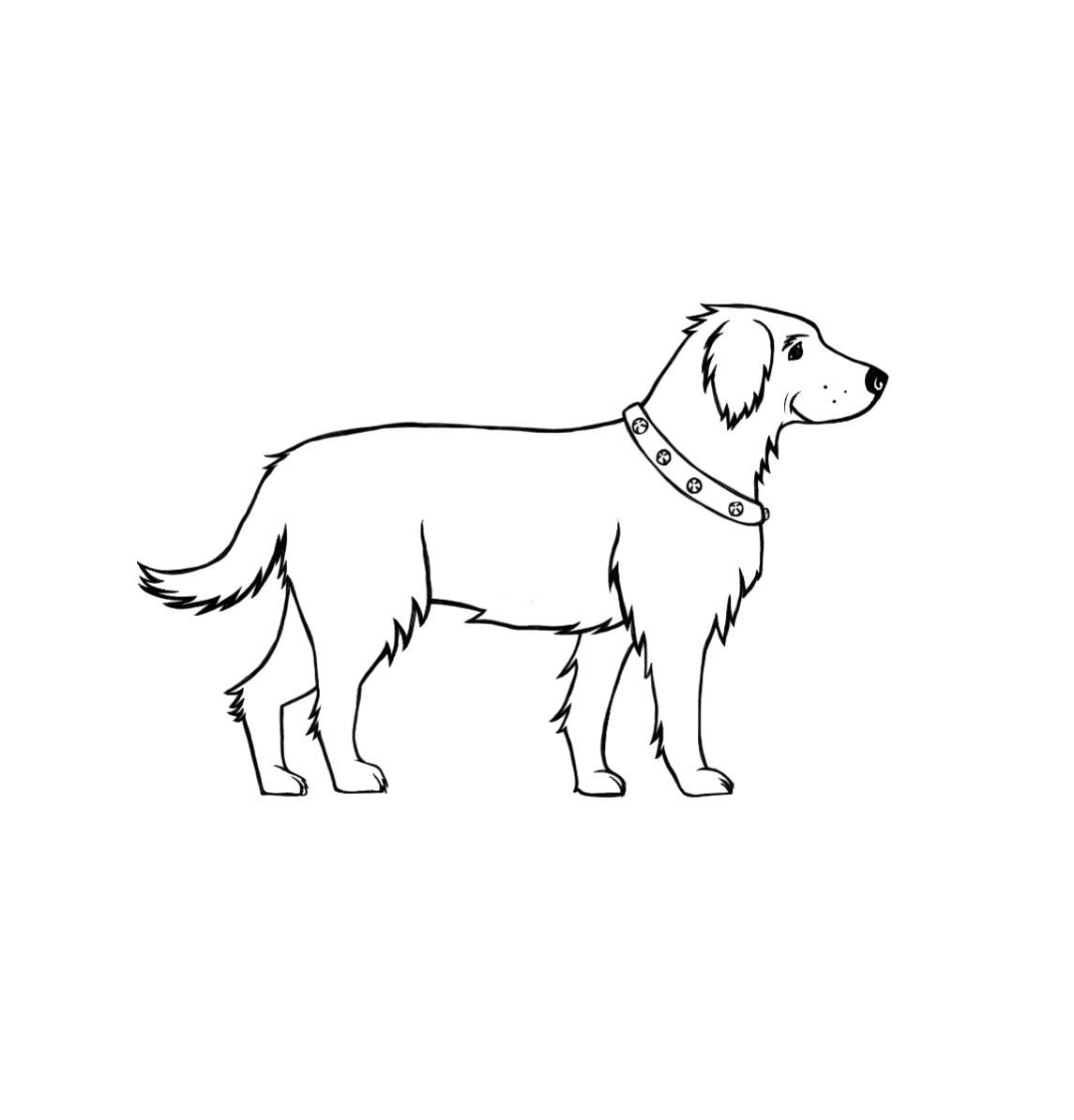 Golden Retriever Coloring Page - Etsy