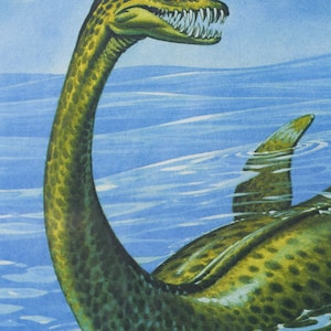 Elasmosaur Enjoying Their Life in Brass Frame W/gold Mat - 11.25x14.25 ...