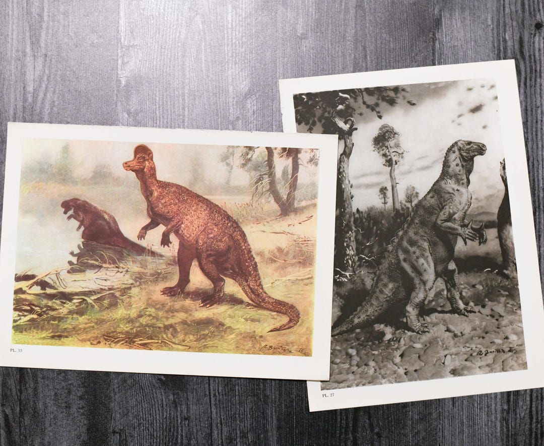 1956 "corythosaurus & Iguanodon" - Original Lithographs, Set of 2 ...