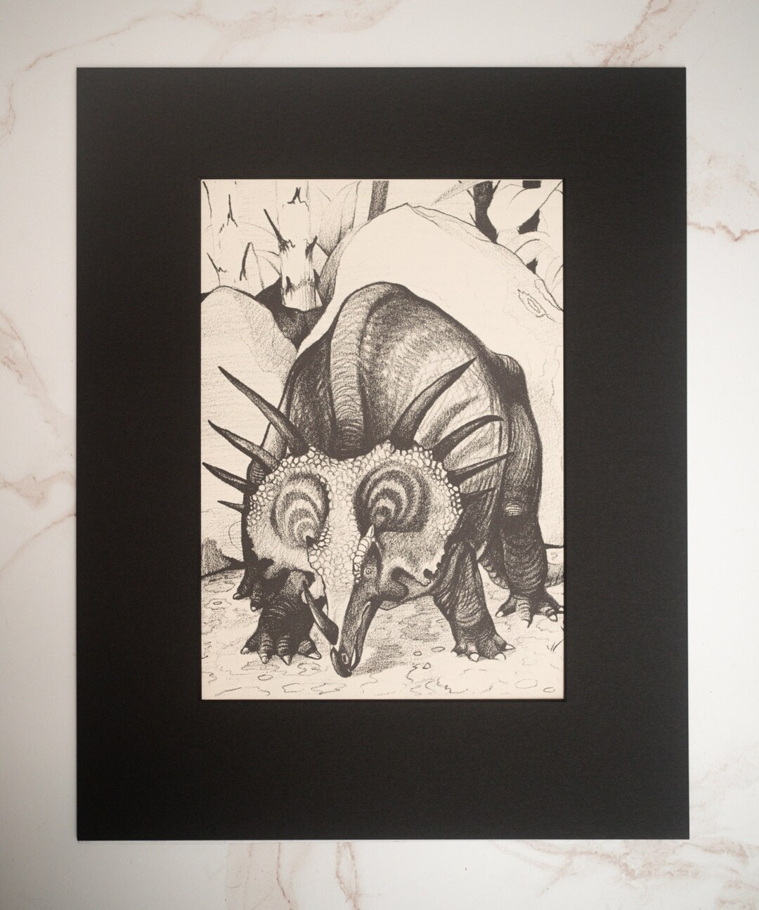 1954 "styracosaurus" by William Scheele in Black Custom 11x14 Mat ...