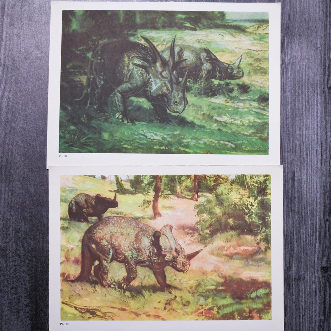 1956 "monoclonius & Styracosaurus" - Original Lithographs, Set of 2 ...