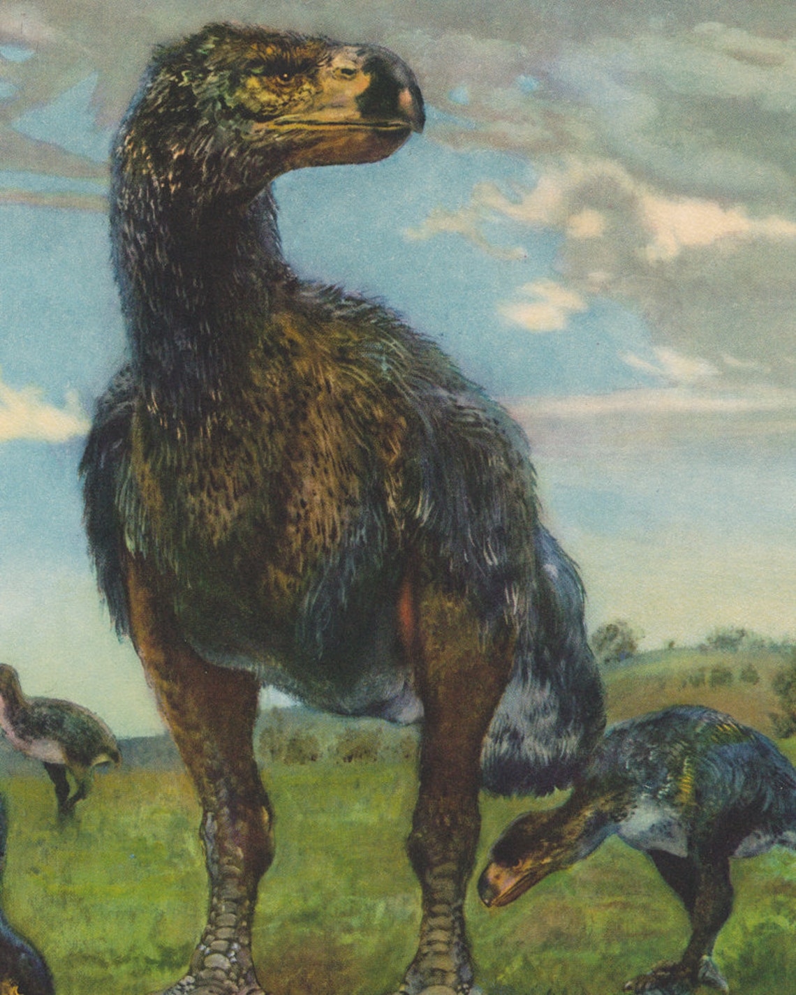 9.75 x13.5 Diatryma original 1966 prehistoric | Etsy