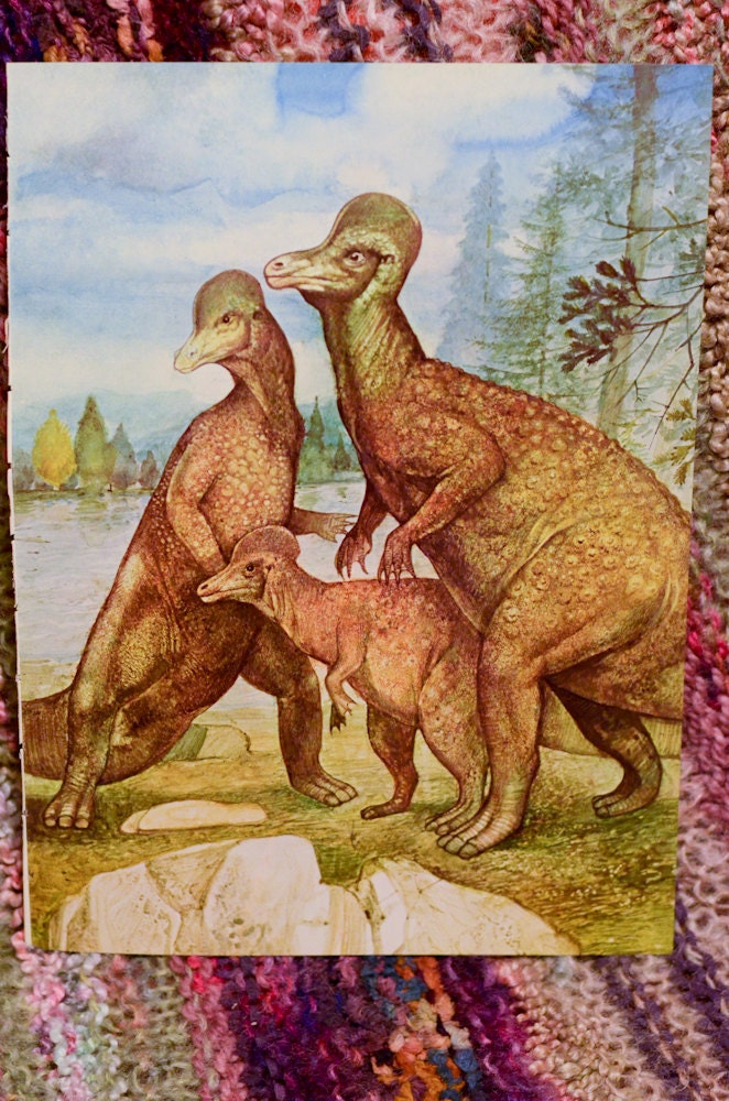 1978 corythosaurus Original 9x12 Print Vintage Dinosaur Paleoart ...