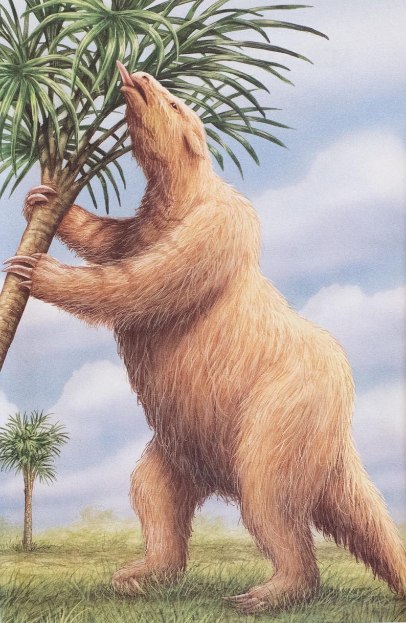 Early 2000s "ground Sloth" in Hand-cut 8x10 Mat - Vintage Paleoart ...