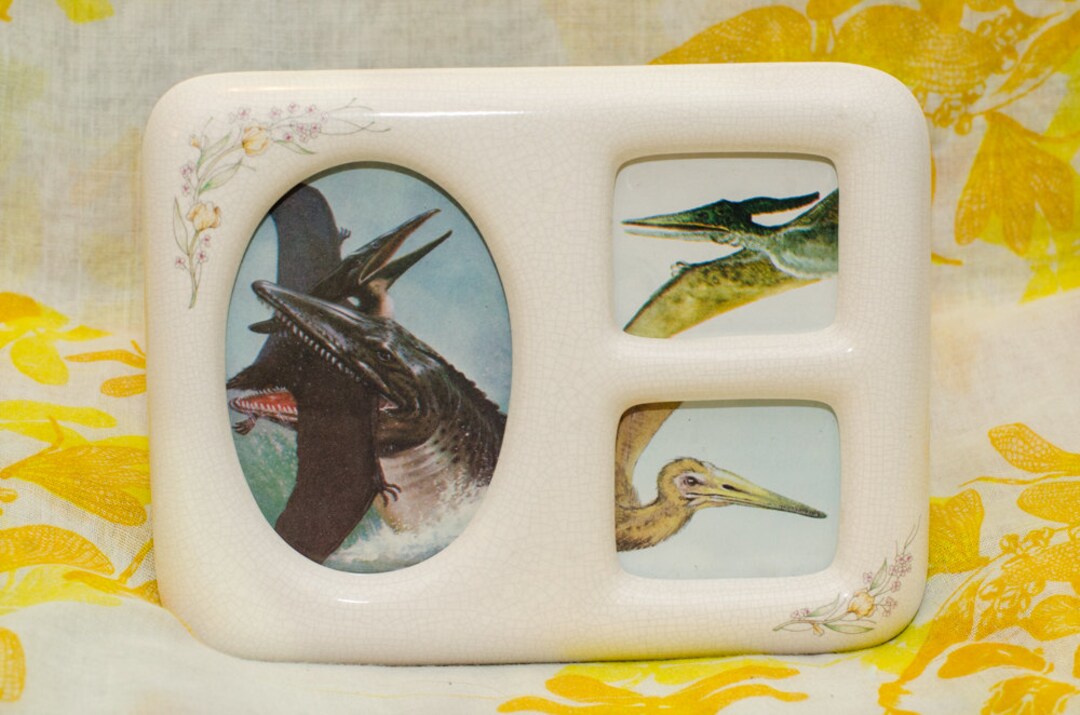 Pterosaur Family Portrait 7.25"x5.5" Humorous Vintage Framed Prints ...