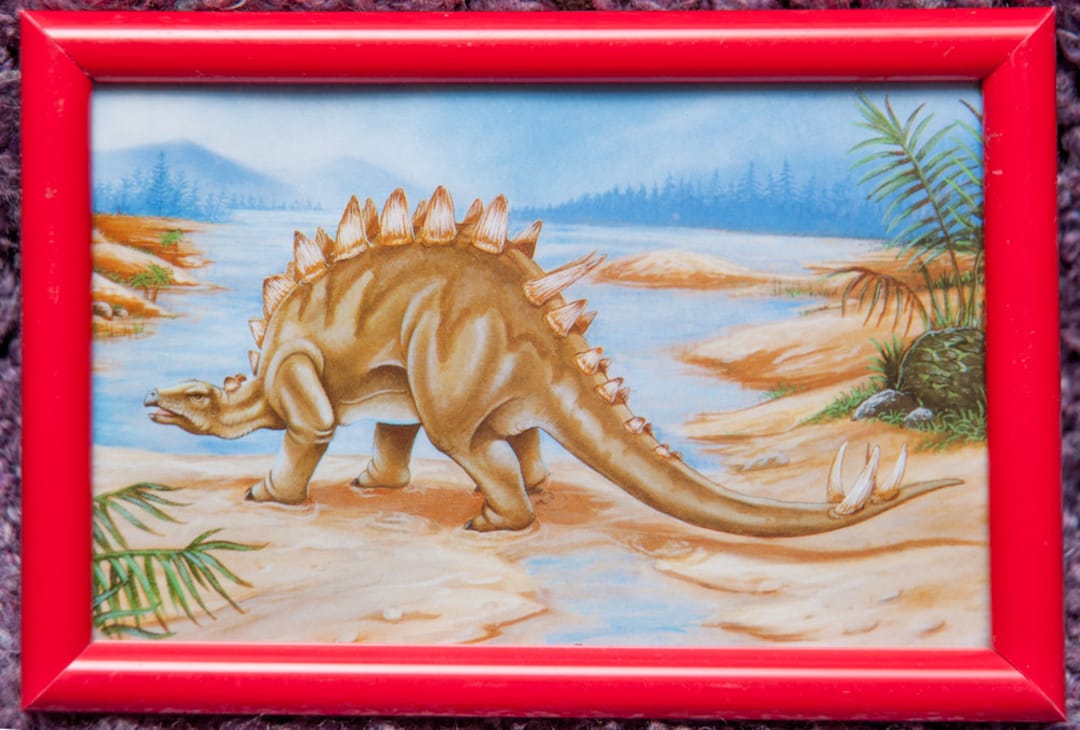 Stegosaurus by the Lake in Red Frame - 4.25x6.25 Vintage Framed ...