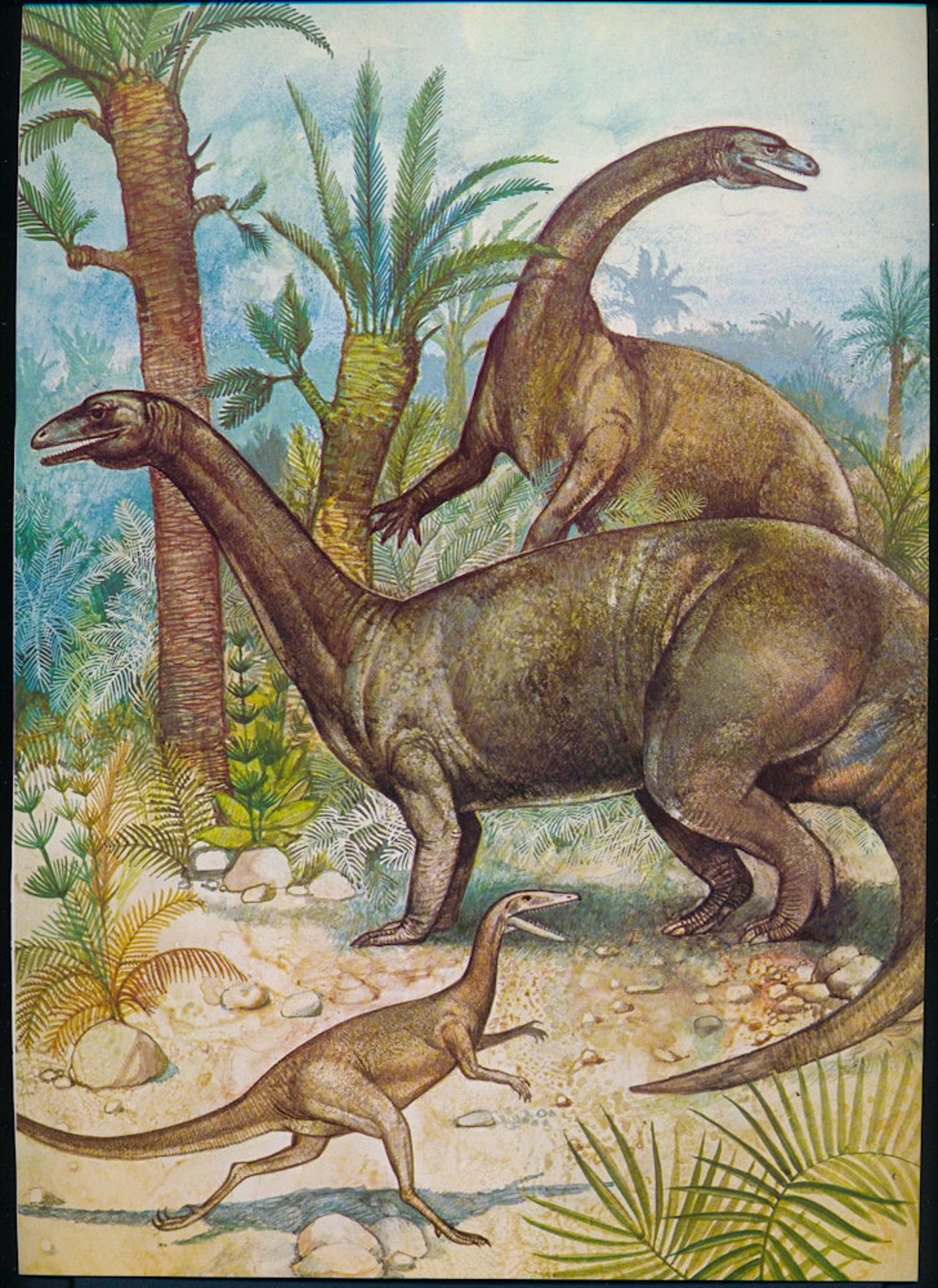 1978 Plateosaurus Original 9x12 Print Vintage | Etsy