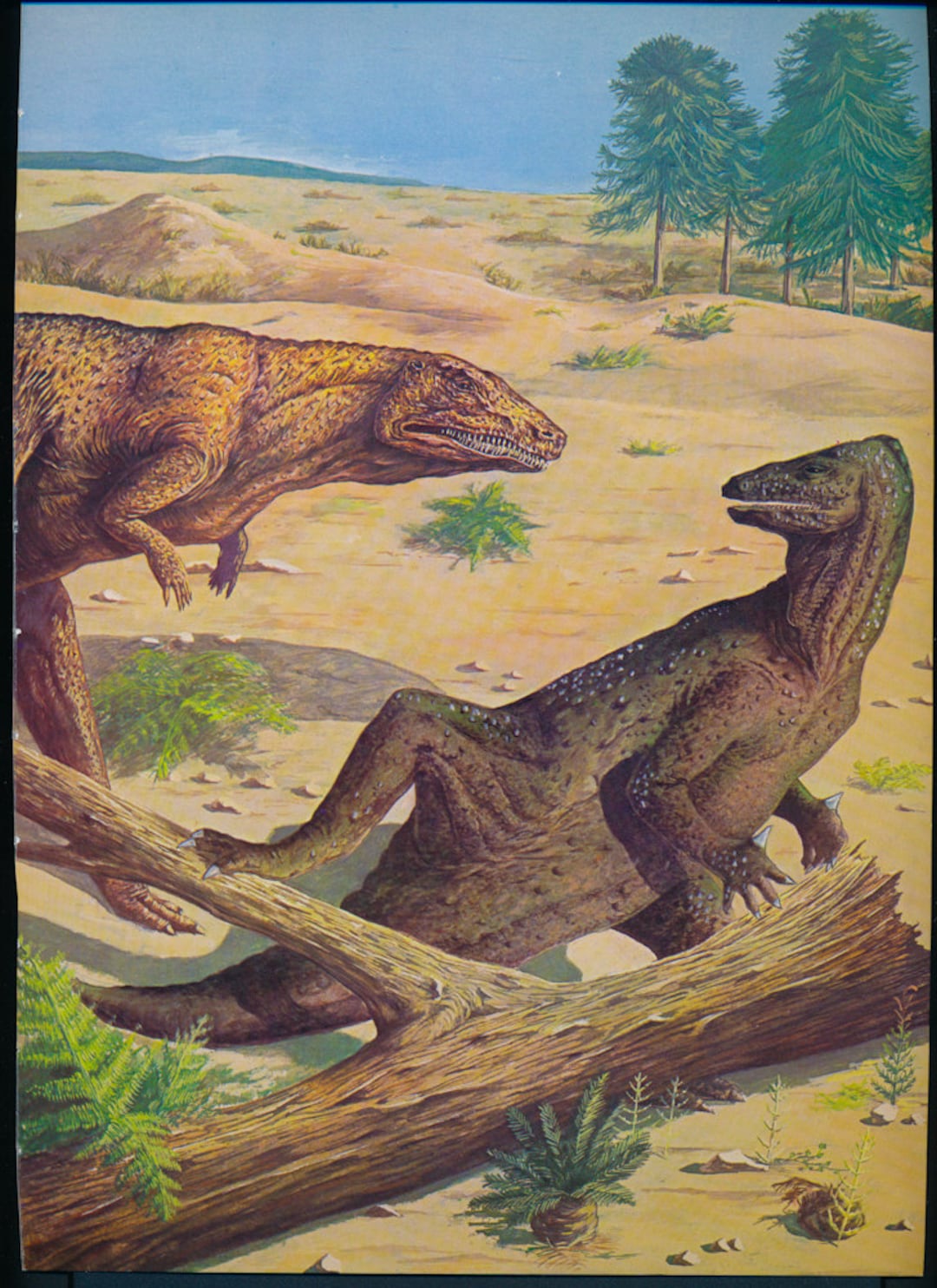 1978 "megalosaurus" - Original 9x12 Print - Dinosaur Illustration ...