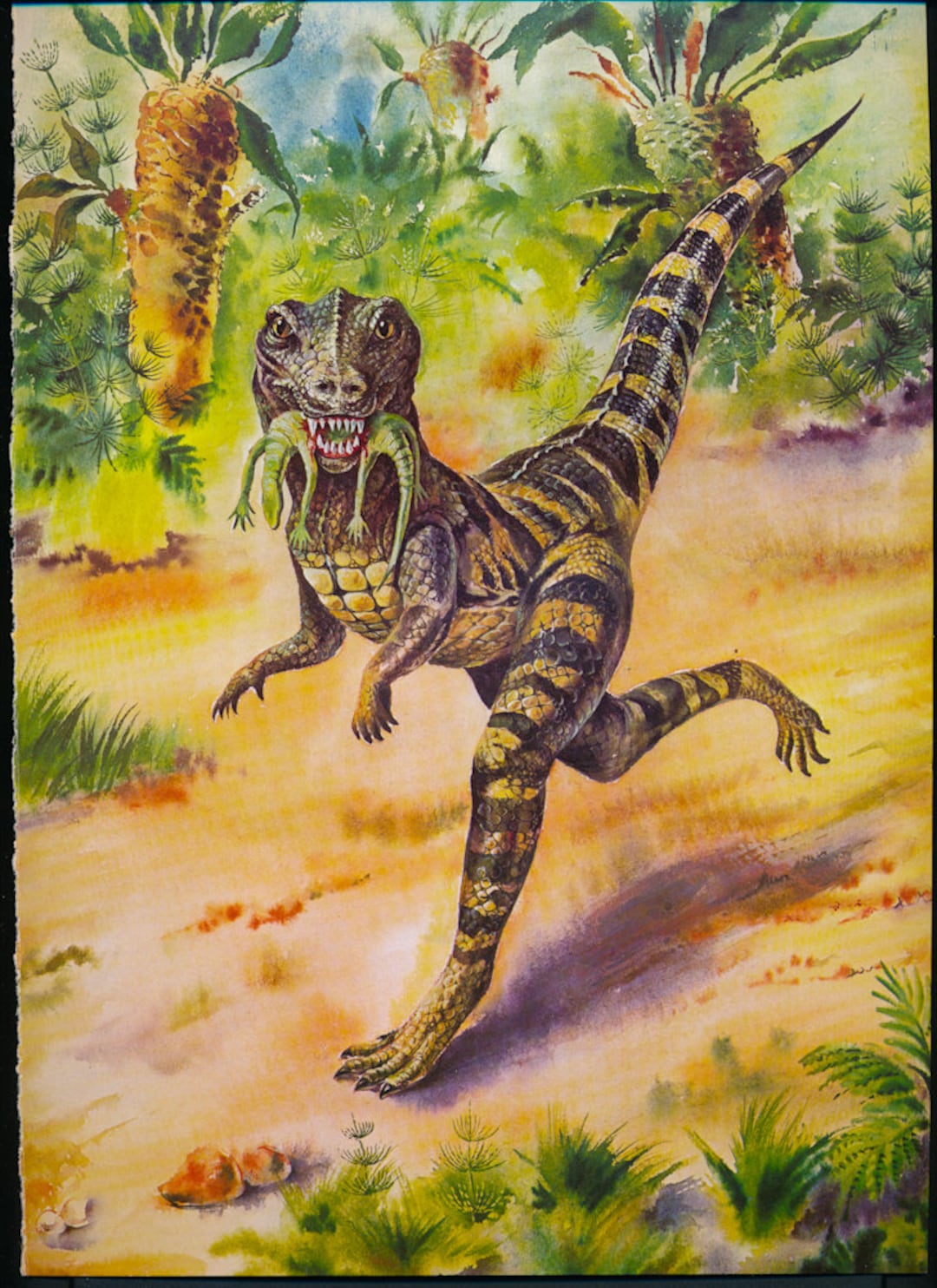 1978 "ornithosuchus" - Original 9x12 Print - Vintage Dinosaur ...