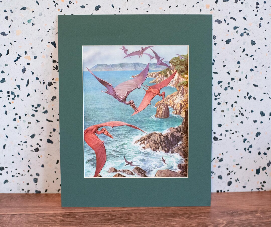 1975 "pterosaurs" in Hand-cut Mat 11x14 - Rare European Vintage ...