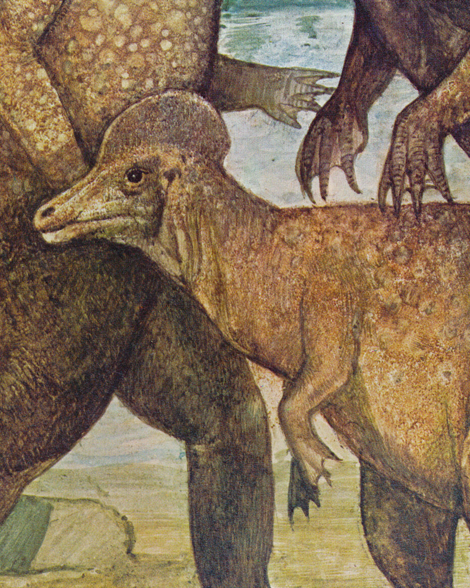 1978 corythosaurus Original 9x12 Print Vintage Dinosaur Paleoart ...
