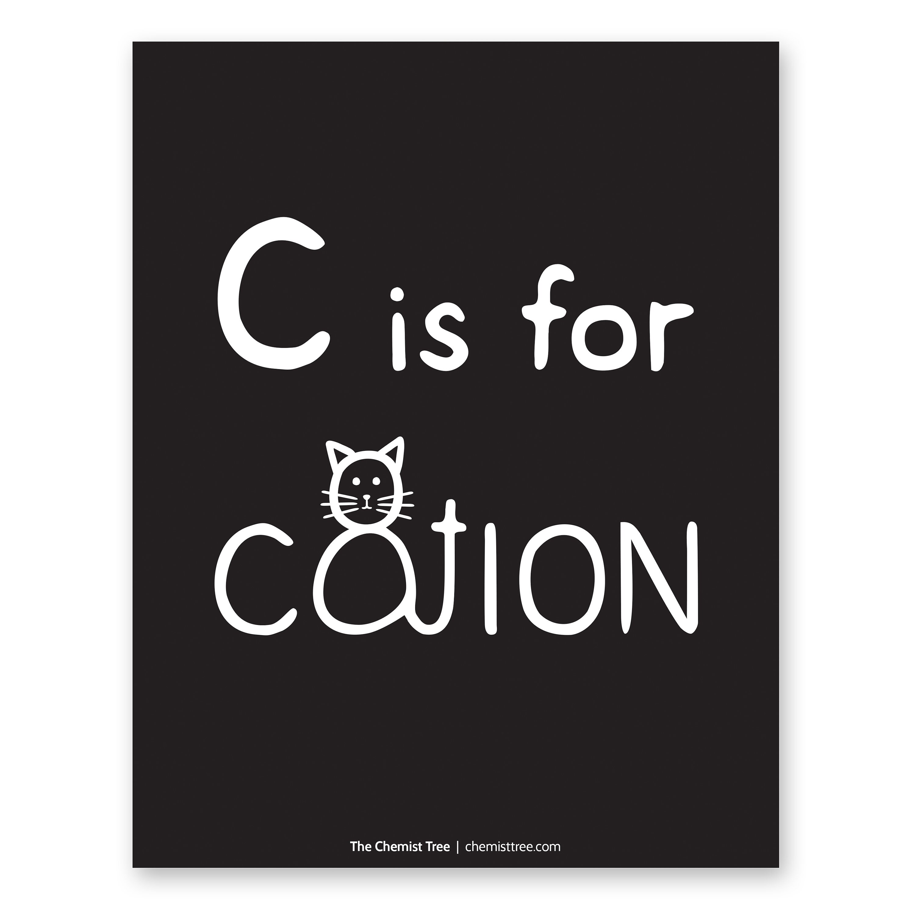 Buy Cat Digital Print Science Poster Cation Chemistry Poster Online in ...