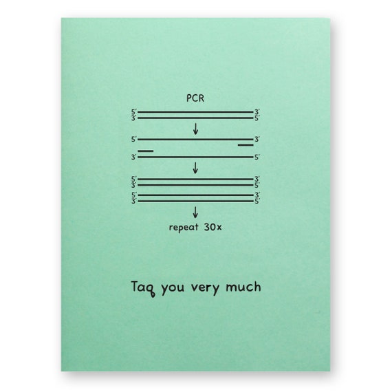 Biology Thank You Card PCR Taq Polymerase Pun Science | Etsy