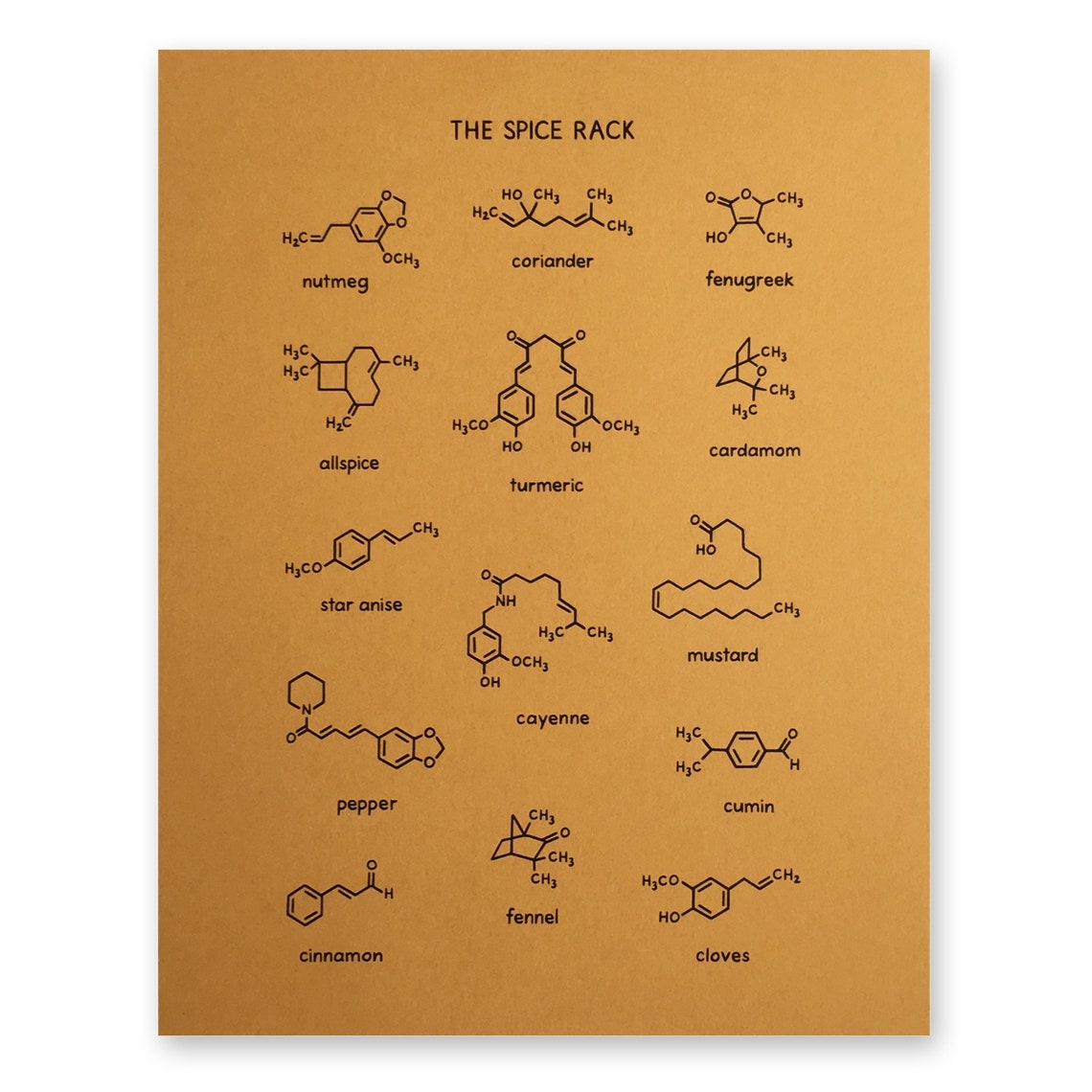 Chemistry Spice Rack Poster 8x10 Inches Unframed Science - Etsy