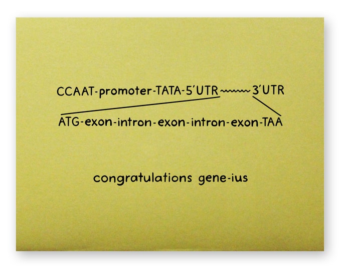 Biology Graduation Card | Genetics Congratulations Genius Pun Geneius ...