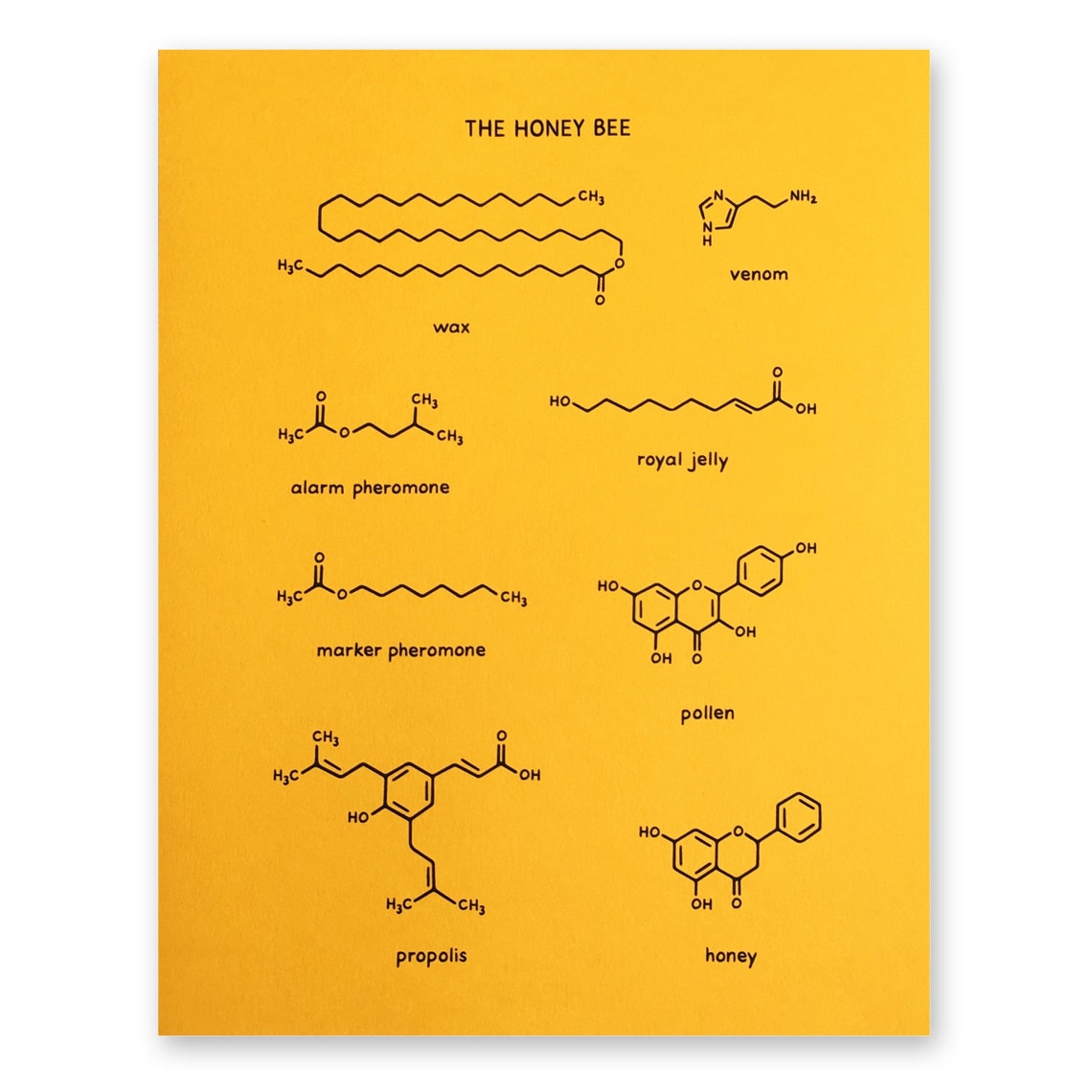 Honey Bee Insect Chemistry Poster 8x10 Inch Science Entomology - Etsy