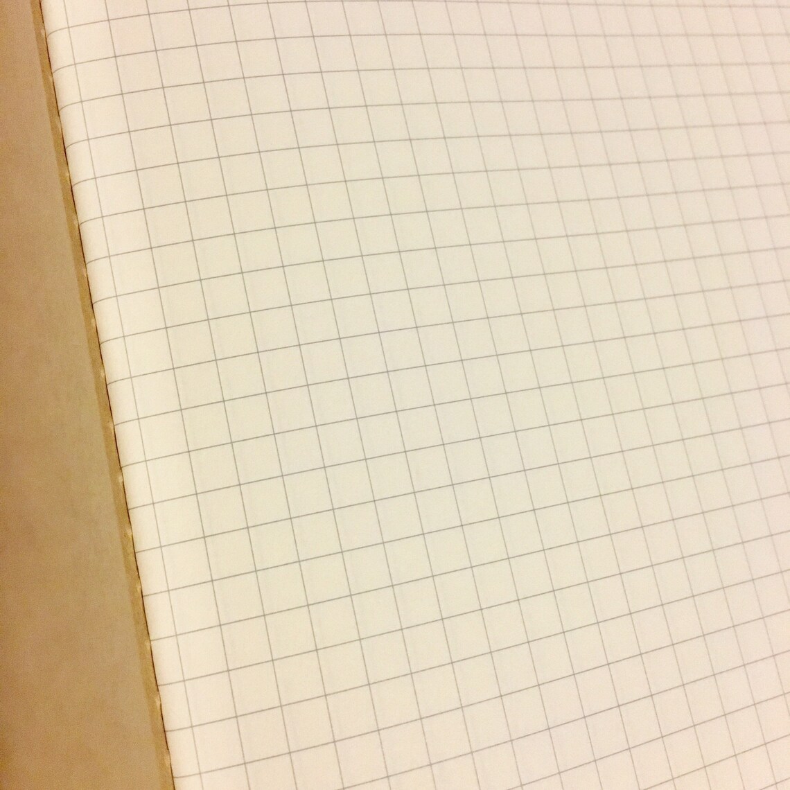 Math Notebook Graph Paper Journal Woman in Math Equation for | Etsy