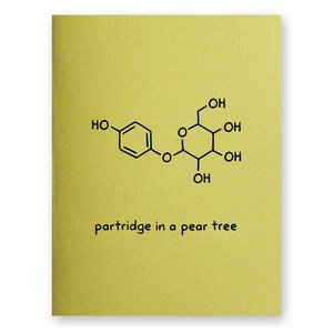 Chemistry Christmas Carols Card Set of 5 - Science Puns Scientist ...