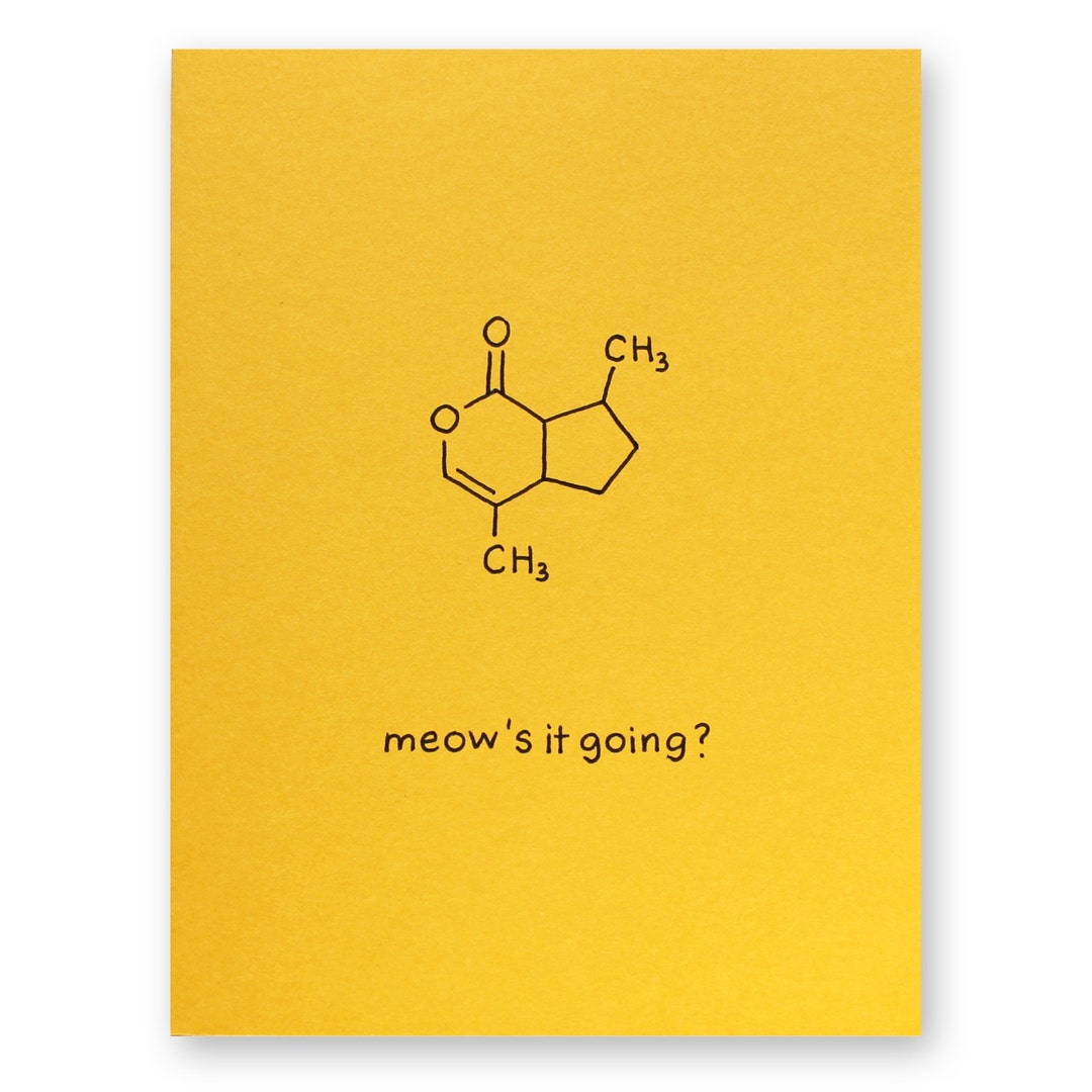 Cat Lady Pun Card Meow's It Going Catnip Chemistry Molecule Science ...