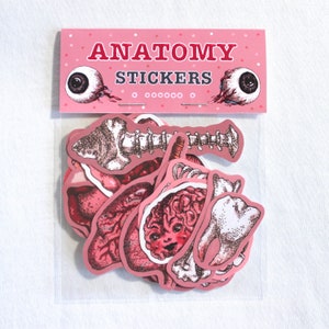 Anatomy STICKERS (35 Pack) - Etsy