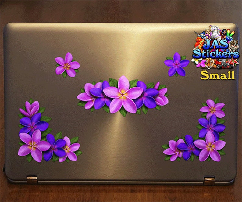 FLOWER Pink/purple Frangipani Plumeria Corners Pack Vinyl Bumper ...