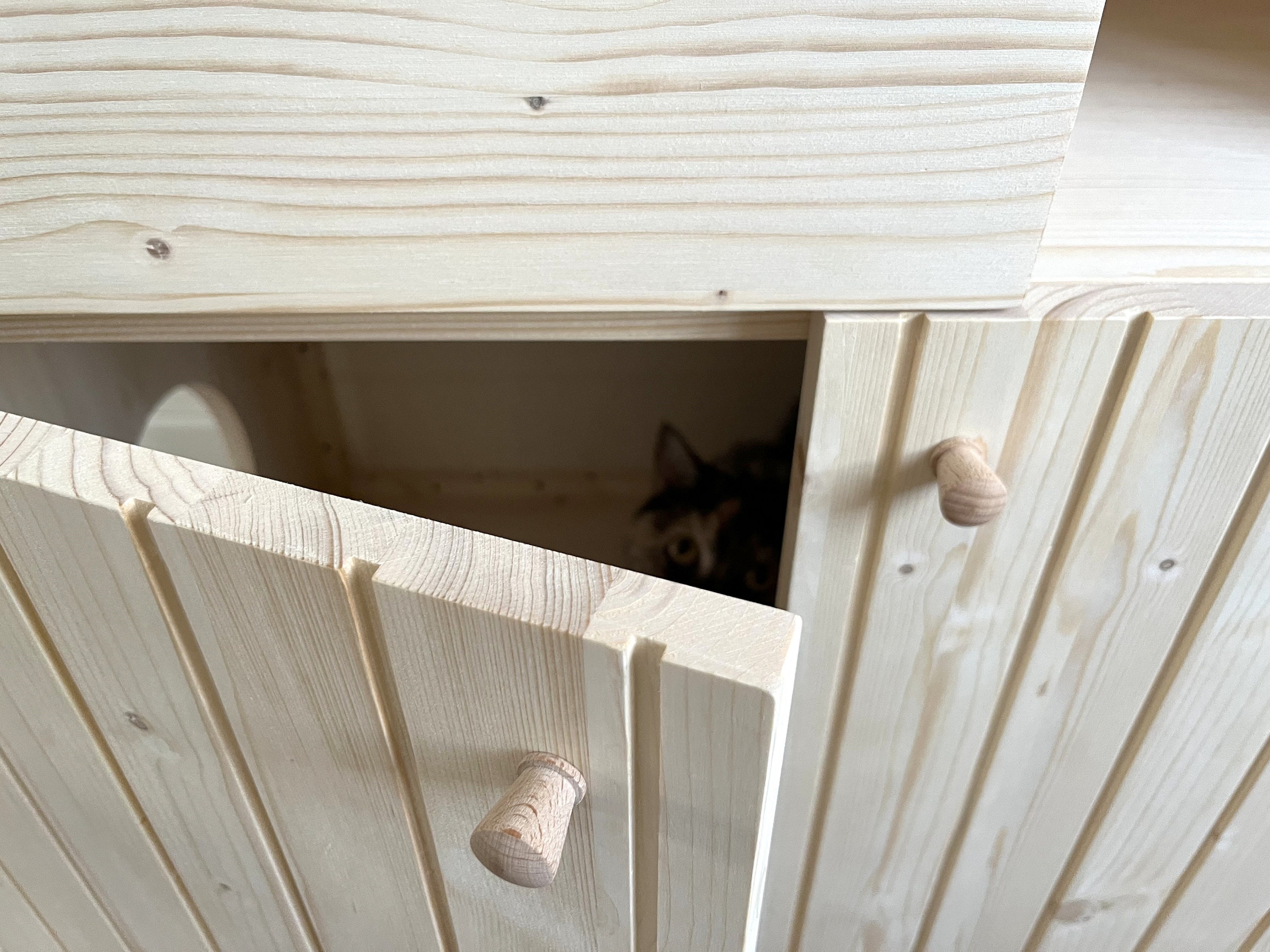 Modern Cat Litter Box Cabinet Build Plans: DIY Cat Furniture (digital ...