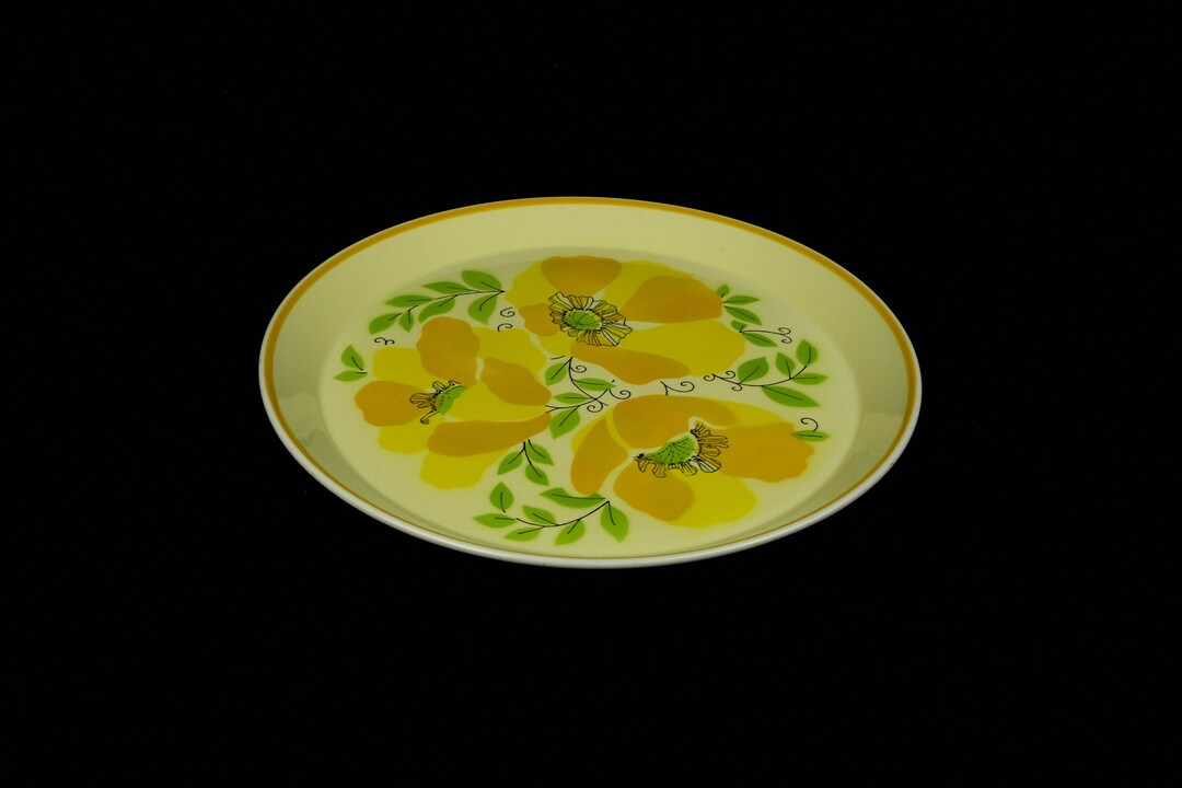Mikasa Colormates Hilo Dinner Plate - Etsy