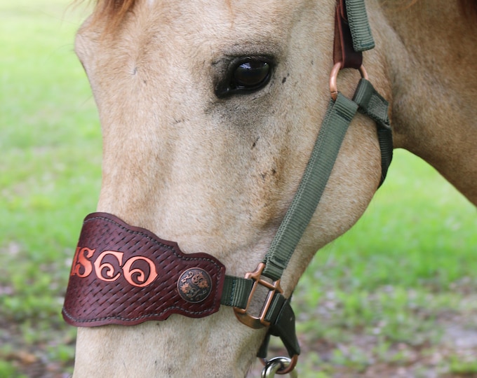Custom Nylon Bronc Halter - Stronger Design Than Tab Style - Etsy