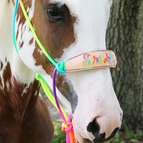 Rainbow Skinny Bronc Rope Halter and Lead Rainbow Stitching - Etsy