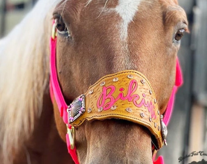 Custom Nylon Bronc Halter - Stronger Design Than Tab Style Leather ...