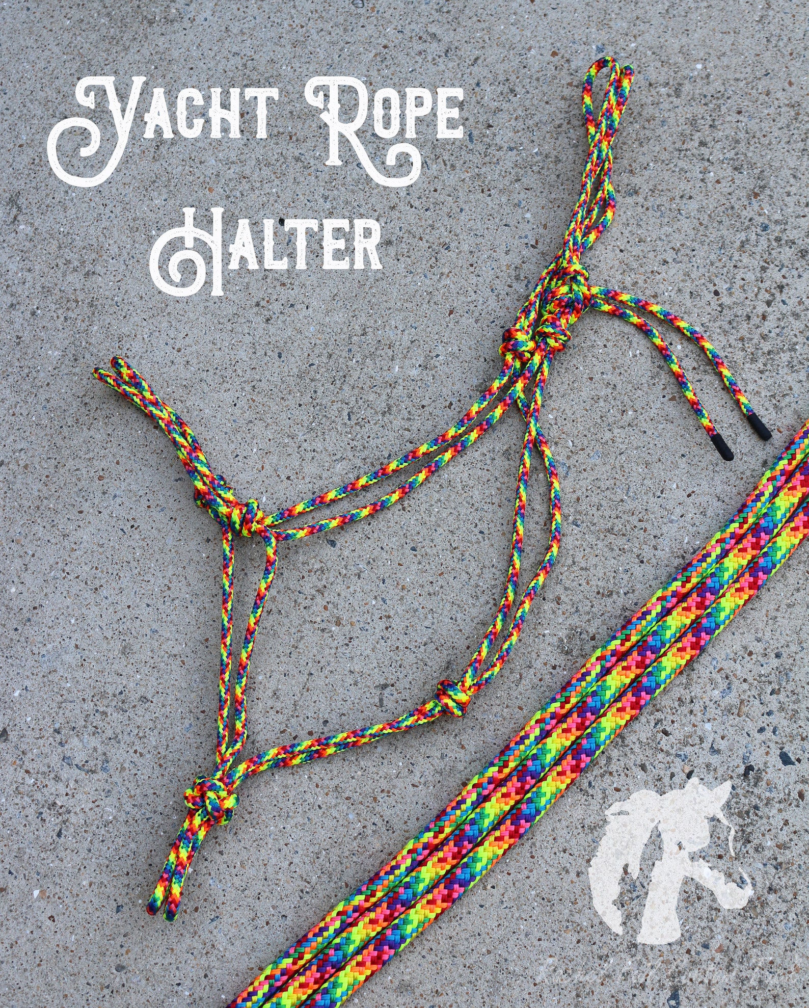 Rainbow Skinny Bronc Rope Halter and Lead Rainbow Stitching - Etsy