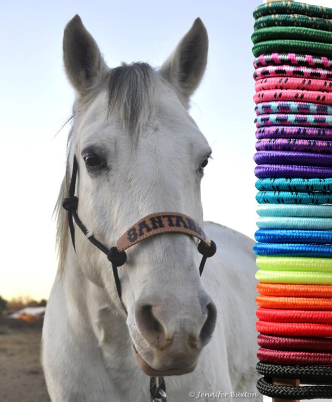 Skinny Bronc Poly Rope Halter - Etsy