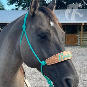 Floral Tooled Skinny Bronc Noseband With Rope Halter - Personalized ...