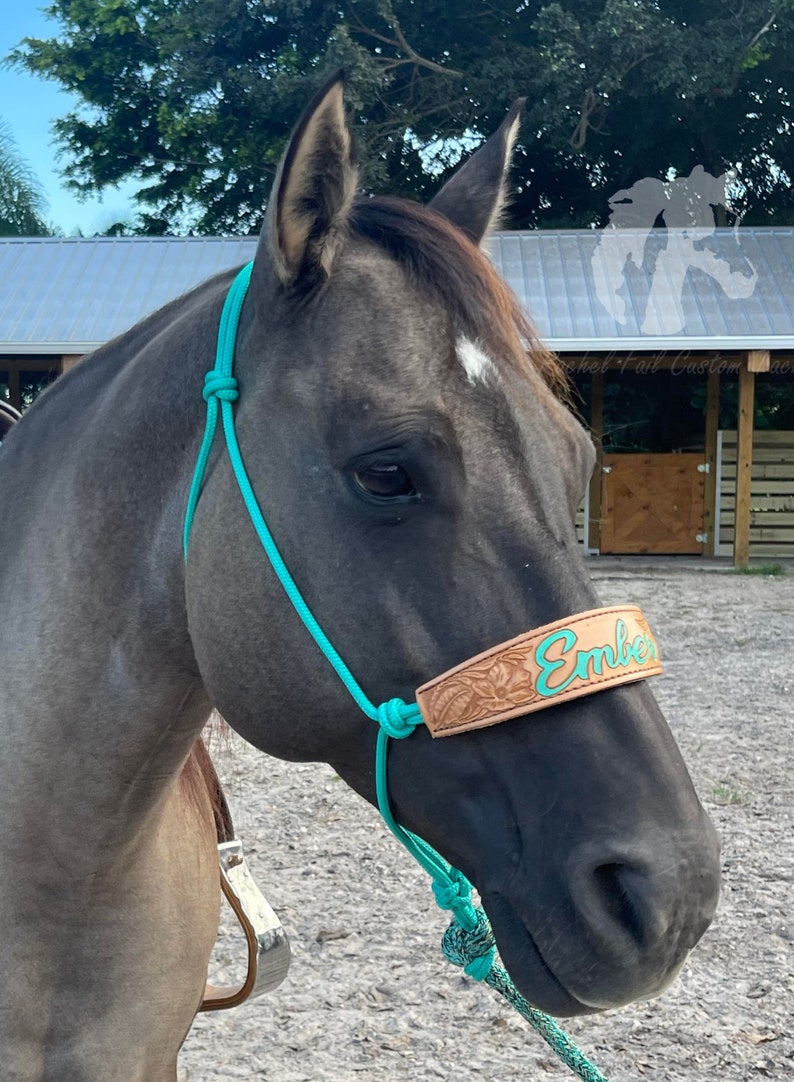 Floral Tooled Skinny Bronc Noseband With Rope Halter - Etsy