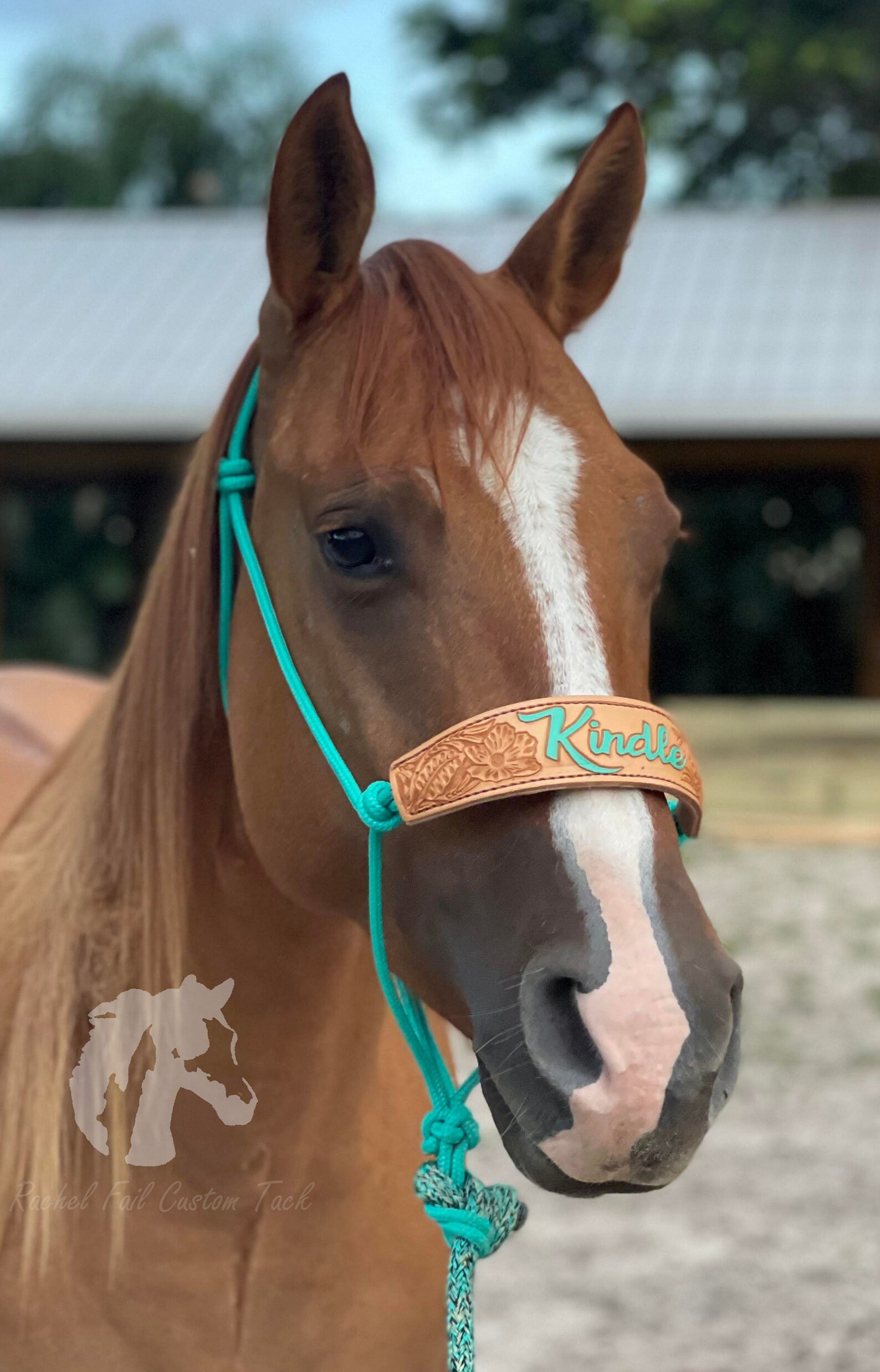 Floral Tooled Skinny Bronc Noseband With Rope Halter - Etsy