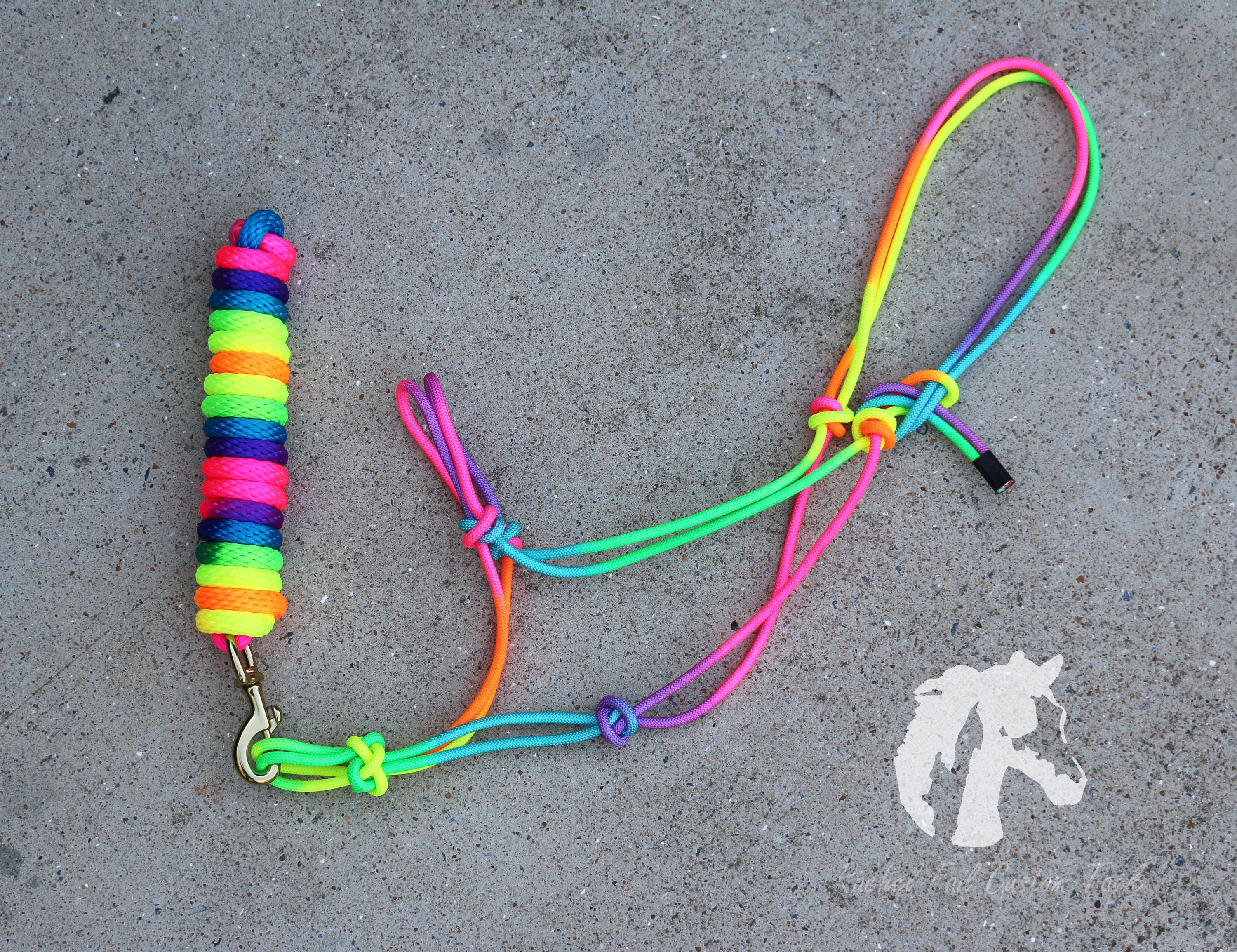Rainbow Skinny Bronc Rope Halter and Lead Rainbow Stitching - Etsy