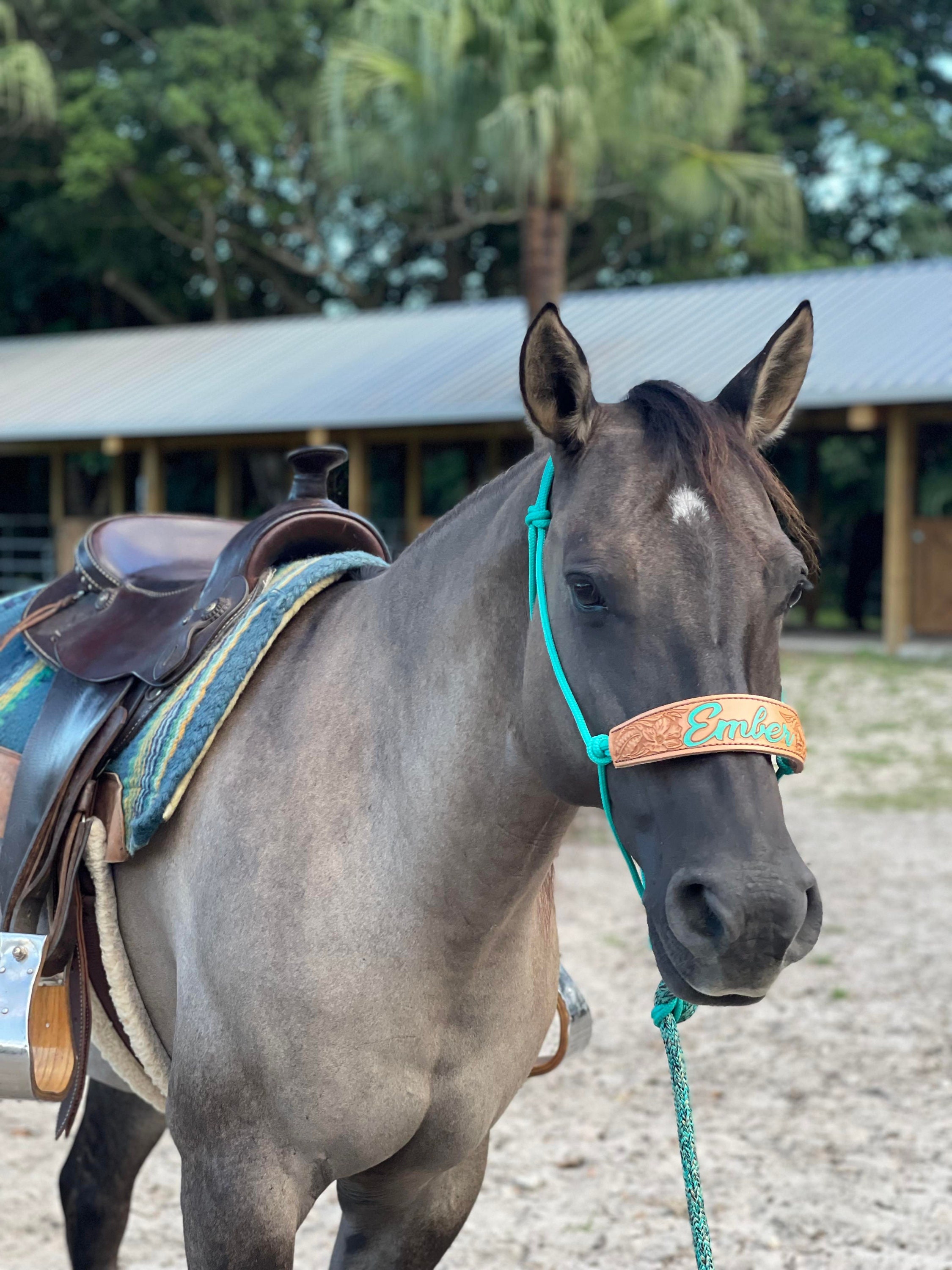 Floral Tooled Skinny Bronc Noseband With Rope Halter - Etsy