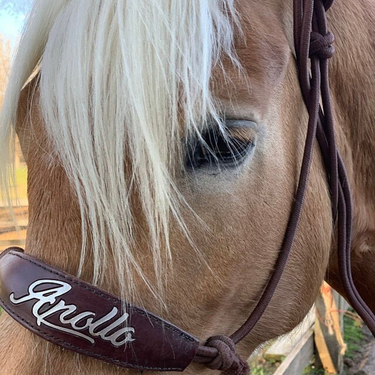 Skinny Bronc Poly Rope Halter - Etsy