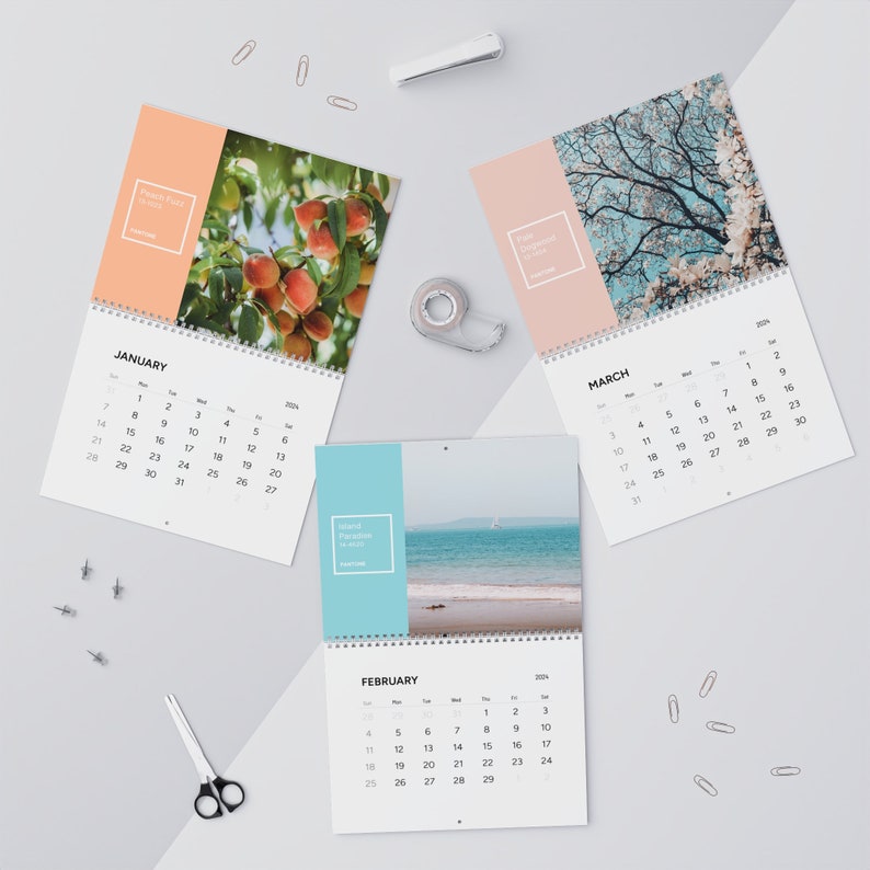 Pantone Calendar 2024 Peach Fuzz Pantone Color of the Year - Etsy Australia