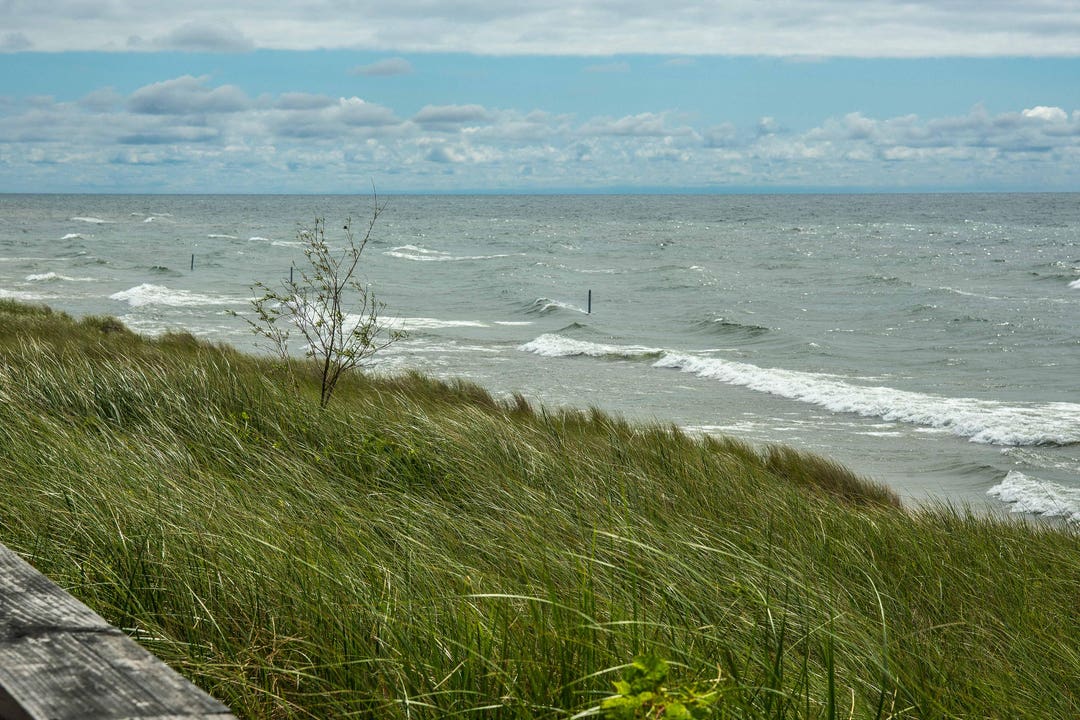 Blowing Grass and Lake Michigan Oval Beach in Saugatuck Michigan ...