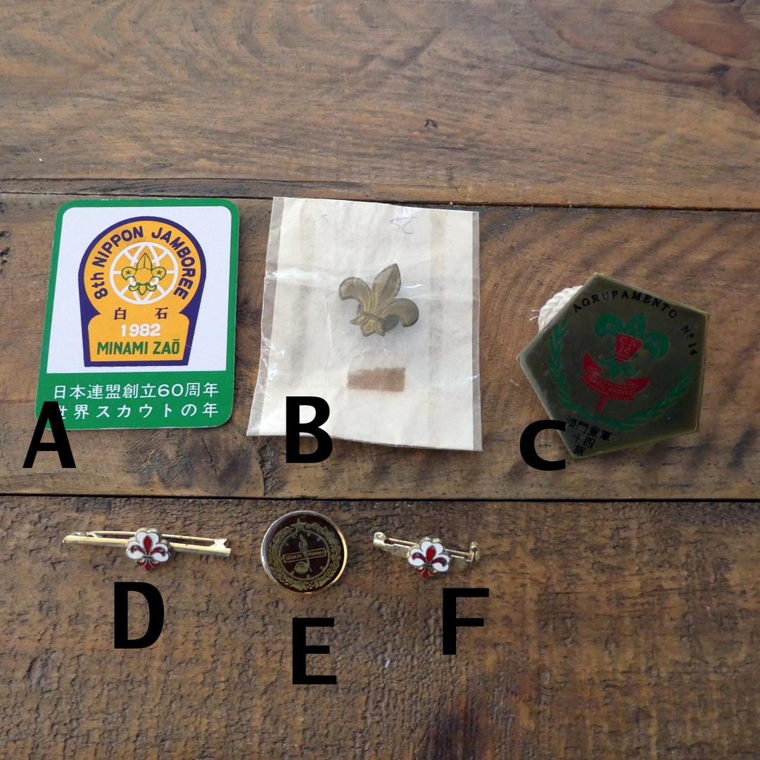 Vintage International Scouts Metal Pins, Collectible Badges - Etsy