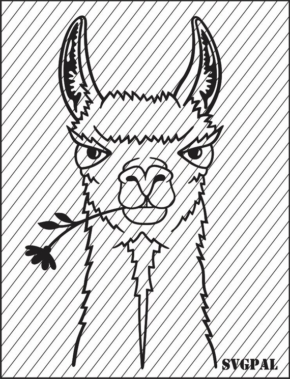 Angry Llama